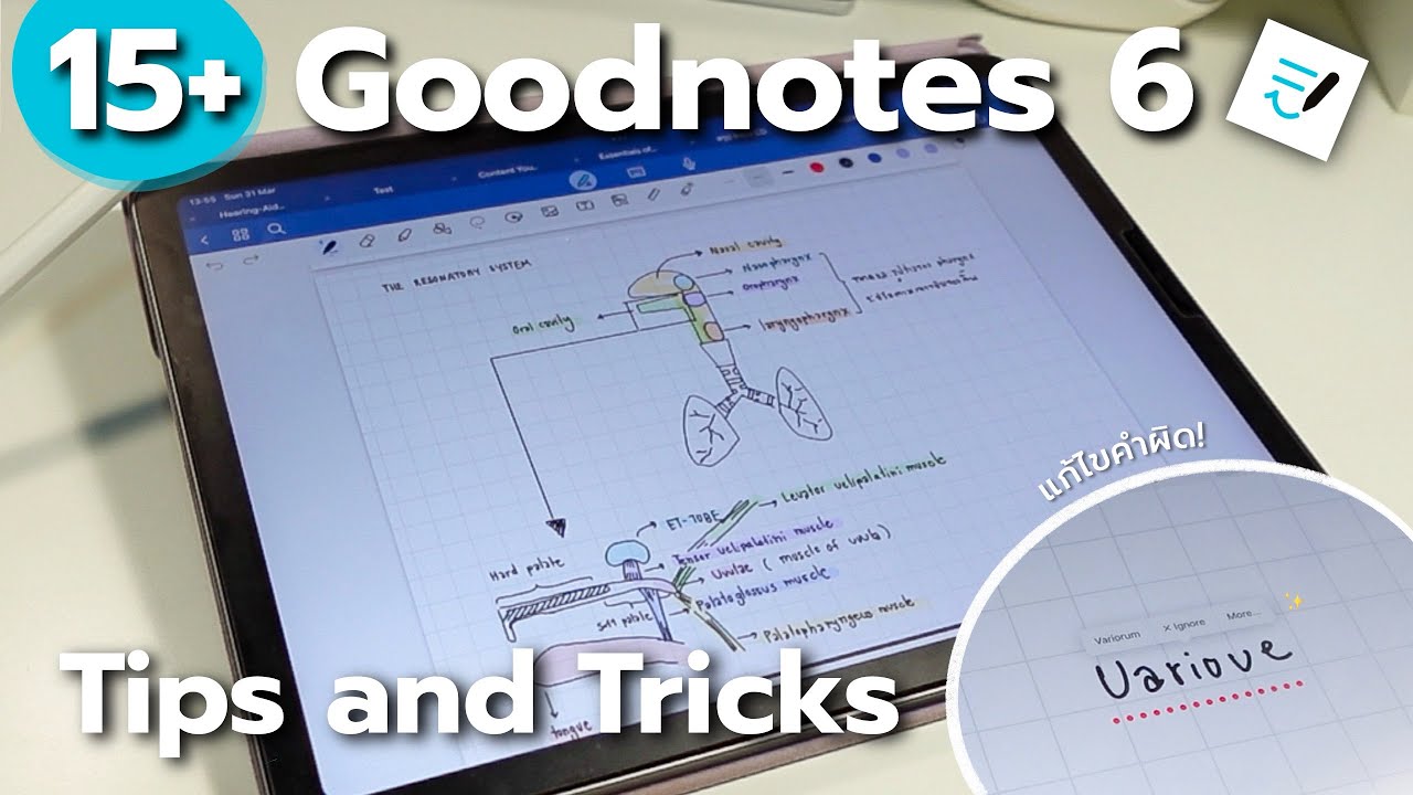 15+ Goodnotes 6 tips and tricks ช่วยให้การใช้งานสะดวกและคุ้มค่ามากขึ้น ...