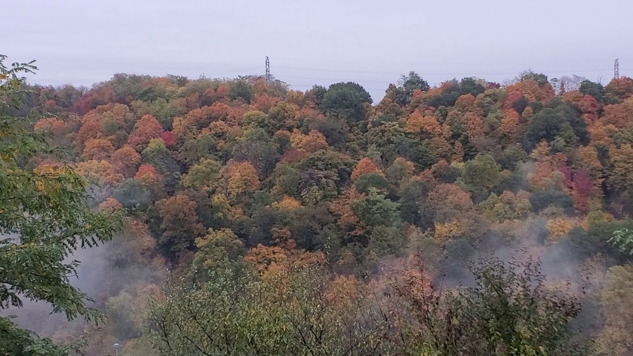 Colors Of Fall In The Northern Panhandle Of West Virginia Hills - YouTube