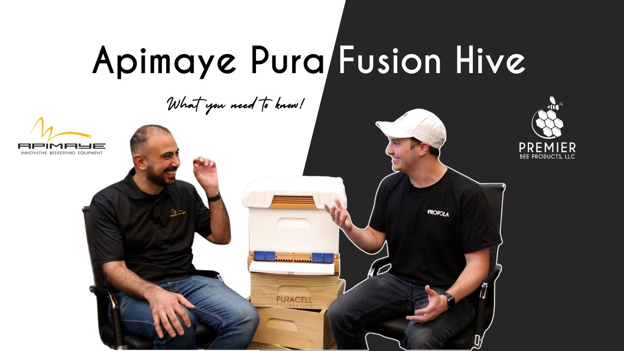 What You Need To Know (Apimaye Fusion Hive) | Premier Bee Products ...