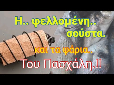 Η φελλομένη σούστα, και τά ψάρια του Πασχάλη..!! - YouTube