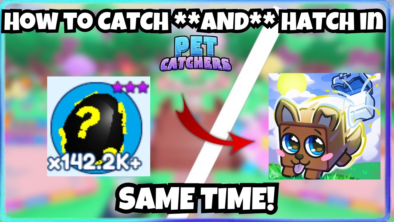 How to CATCH **AND** HATCH in Pet Catchers! - ryzz - YouTube