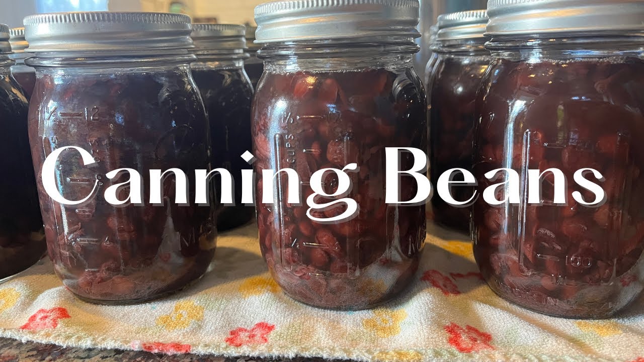 Starting My Winter Canning Projects, Canning Beans - Brelsford Family ...