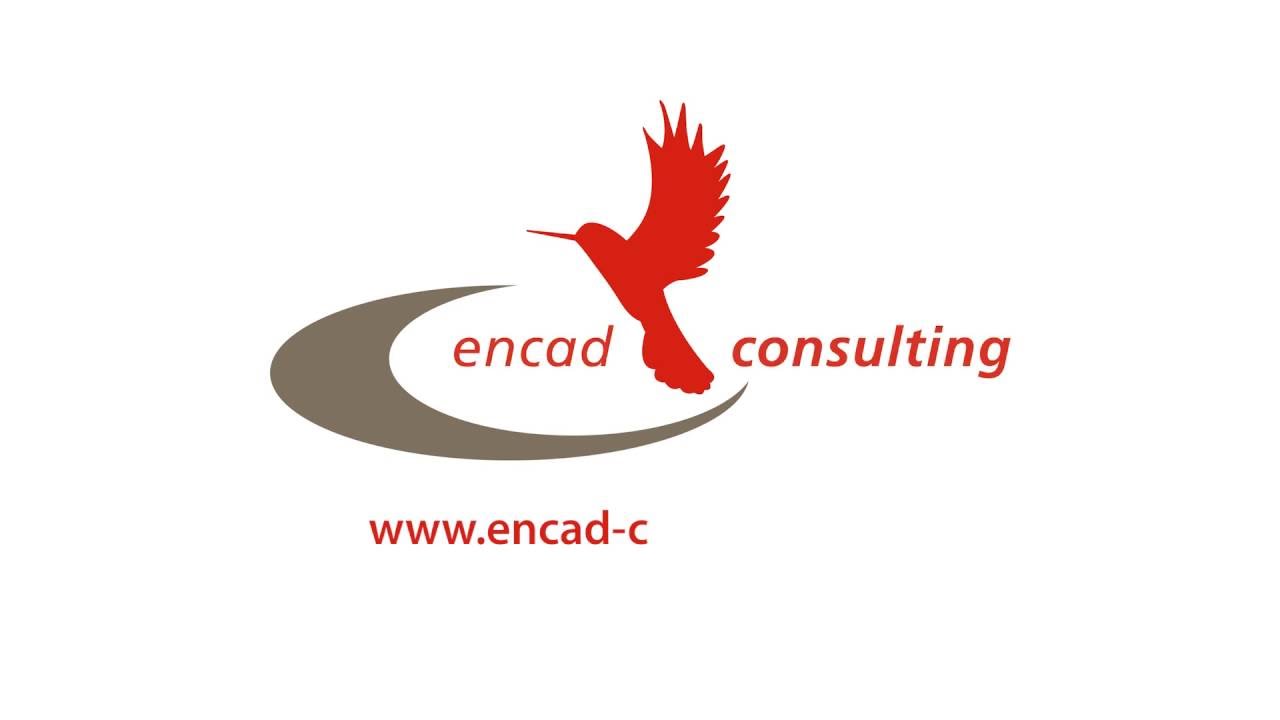 encad consulting - Imagefilm 2016 - YouTube