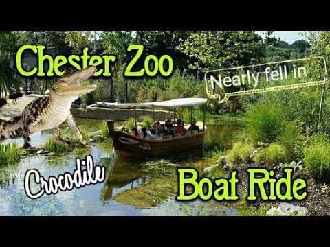 Chester Zoo Boat Ride - with a crocodile ... very scary - YouTube
