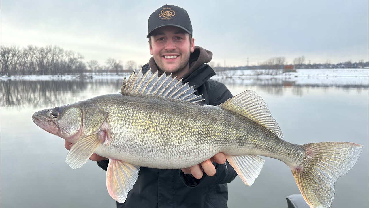 Early Spring Mississippi River Walleyes | March 2023 - YouTube