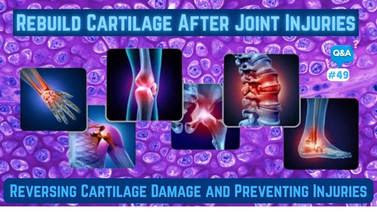 Cartilage Repair for Knees, Hips & Shoulders – A Complete Guide - YouTube