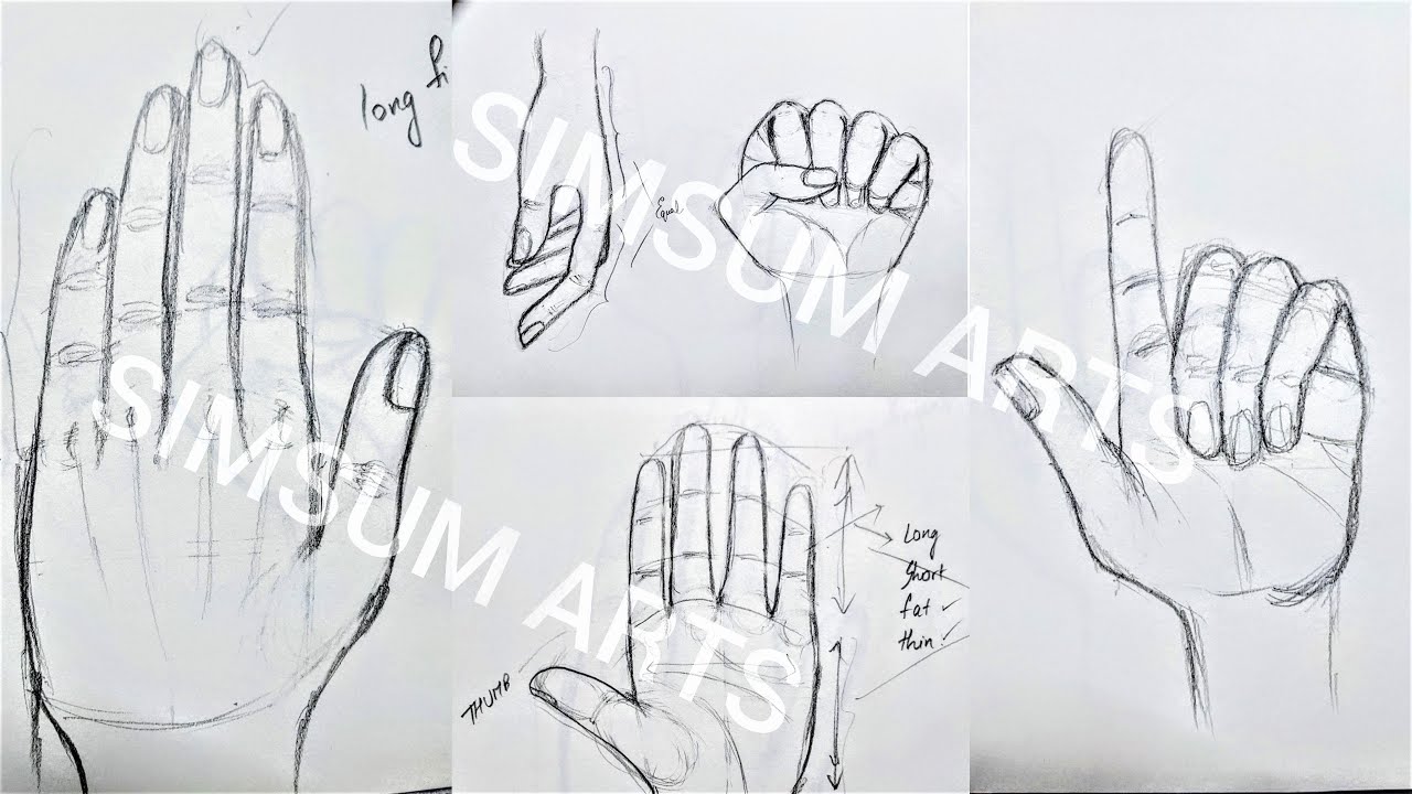 step by step hand drawing part 1/how to draw hand/ no tracing/ easy ...