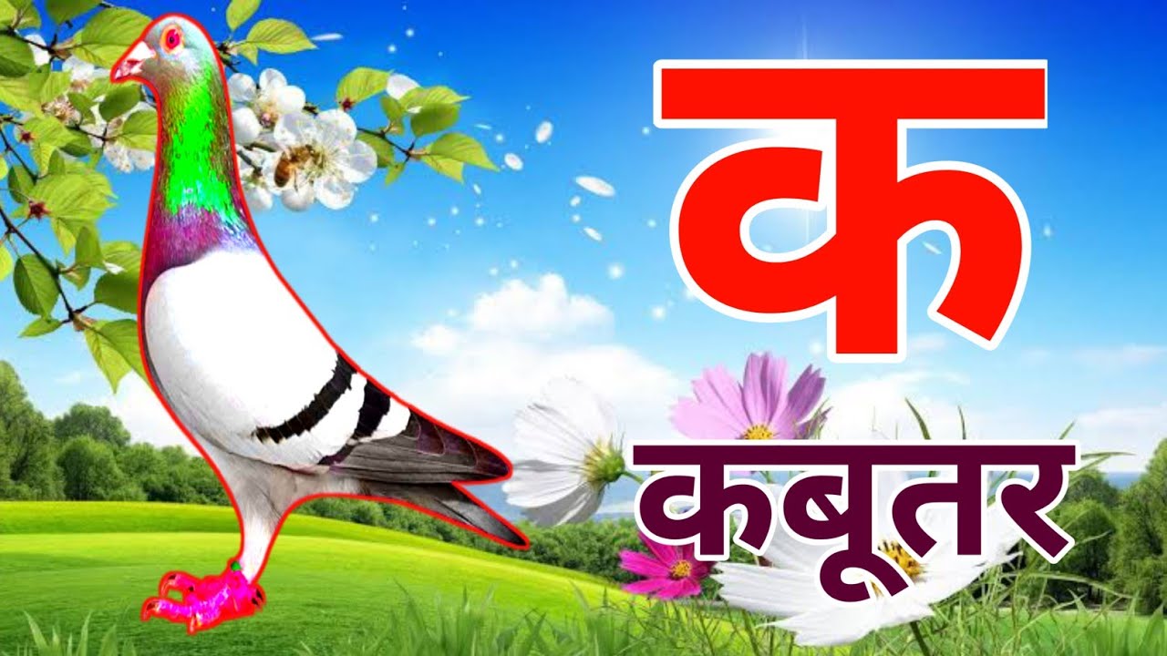 k se kabutar kha se khargosh,a to z english alphabet, kabutar se gyani ...