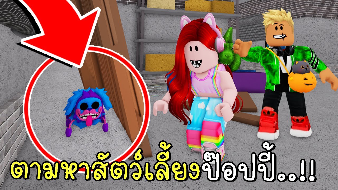 ตามหาสัตว์เลี้ยงป๊อปปี้ที่หายไป 😺🐾 Find The Poppy Pets | CKKID - YouTube