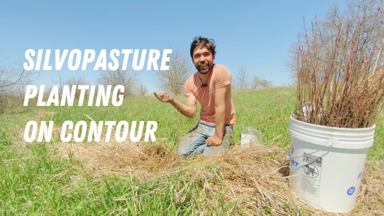 Creating SilvoPasture | Swales on Contour for Soil and Water ...