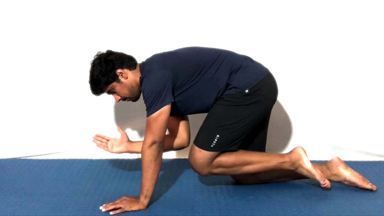 One Sided Bird Dog - YouTube