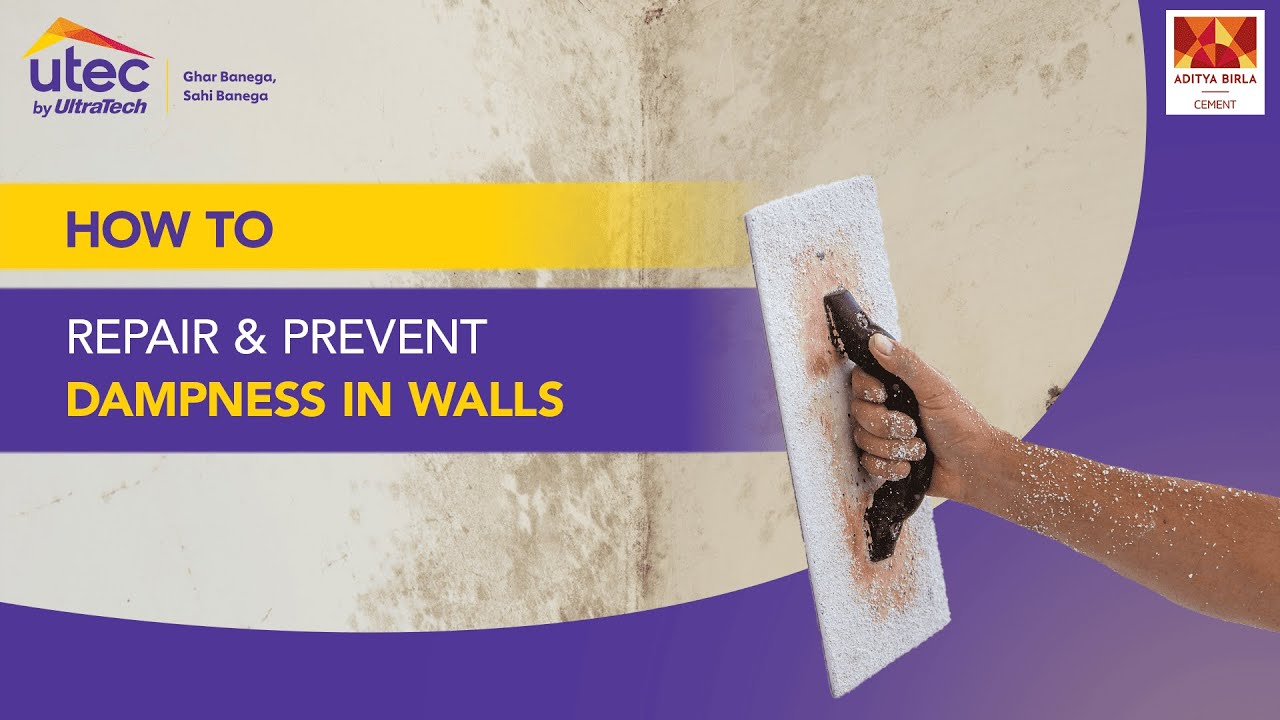 दीवार पर सीलन है तो क्या करें? | Wall Dampness Repair: Quick & Easy ...
