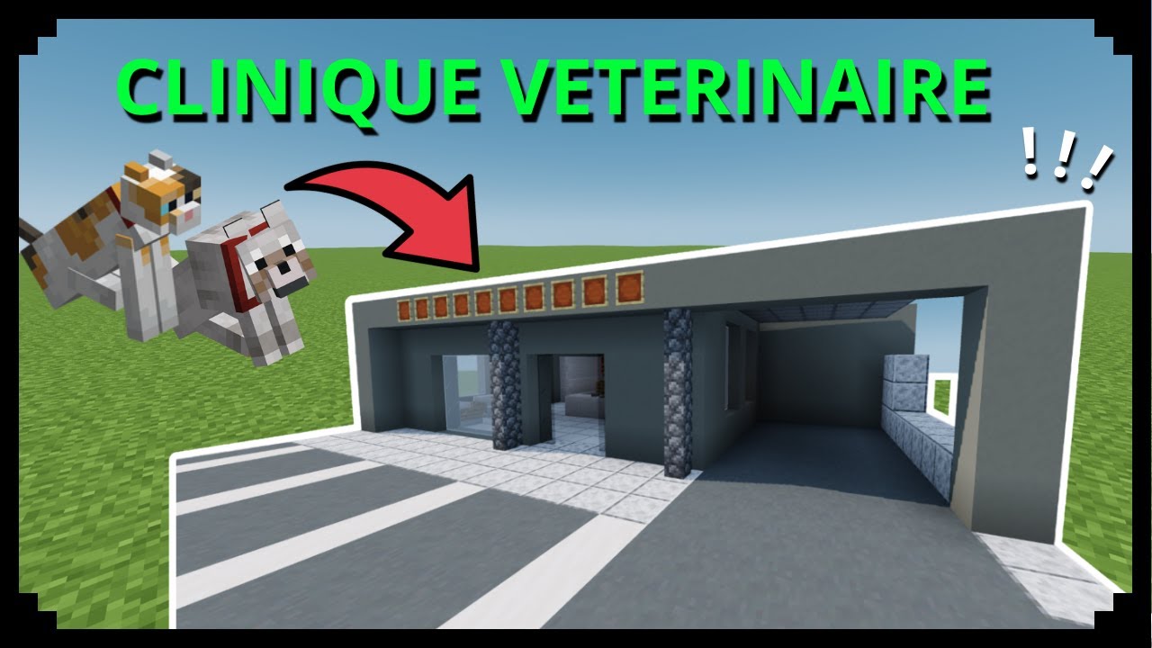 🔨 Minecraft : Clinique Vétérinaire 🐈💉 ! - YouTube