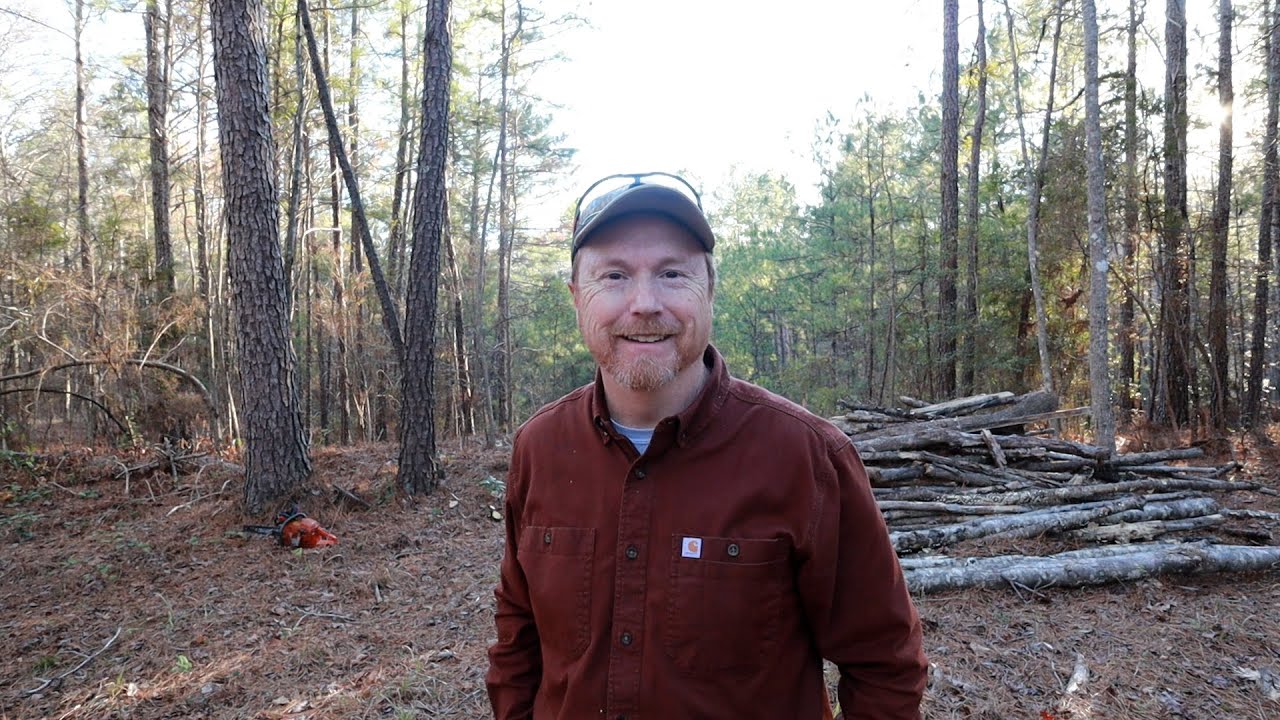 I Messed Up! Tree Falls on Camera! - YouTube