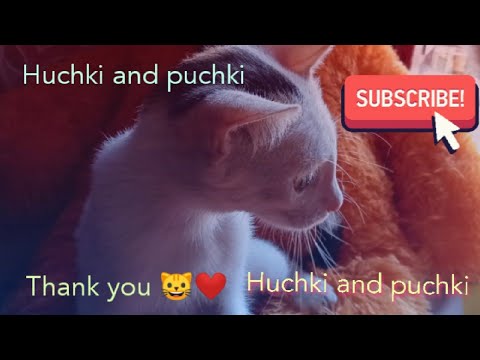 Huchki and puchki