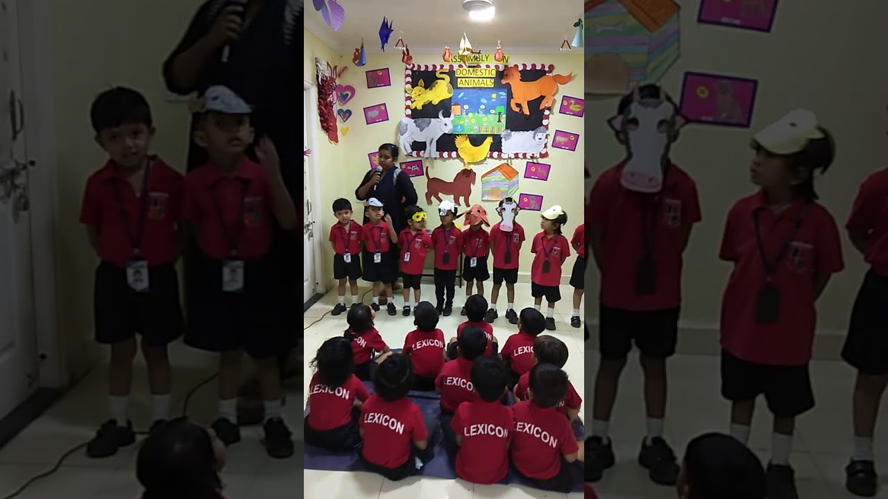 Assembly Activity on Domestic Animals - YouTube