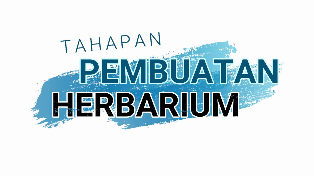 TAHAP PEMBUATAN AWETAN HERBARIUM KERING DAN BASAH - YouTube