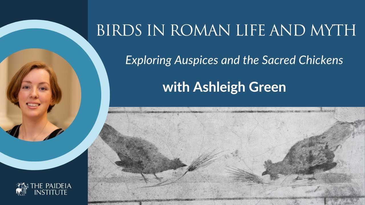 Roman Observing Birds