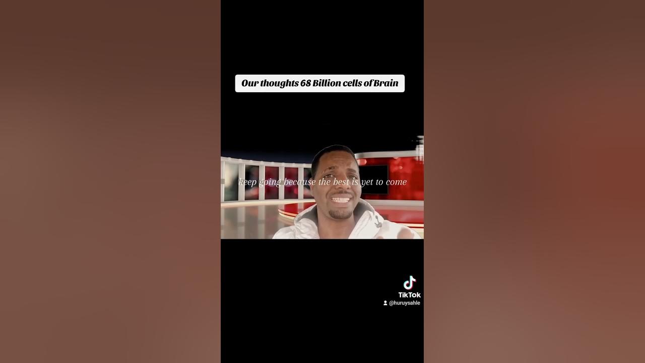 Algorithm of Life - YouTube