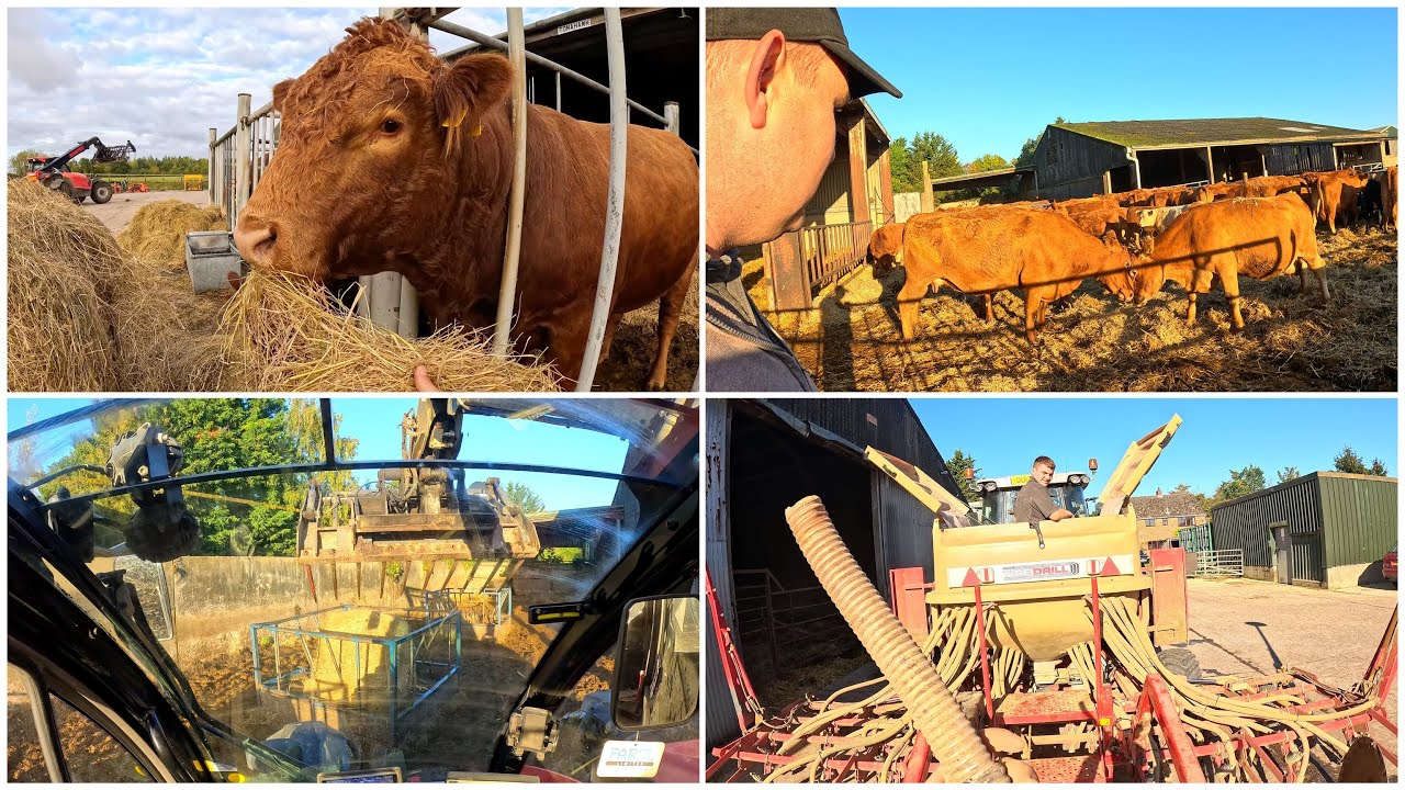 Cows Are In, Drill Ready To Be Put Away! - YouTube