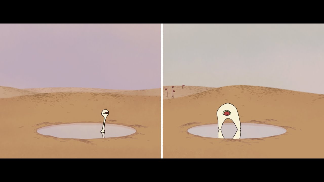 Shayne Cook - Restless Lovers (Official Video) - YouTube Music