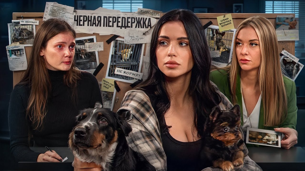 ЧЕРНЫЕ ПЕРЕДЕРЖКИ СОБАК: ERIN DOG CAMP и DOGTOWN - YouTube