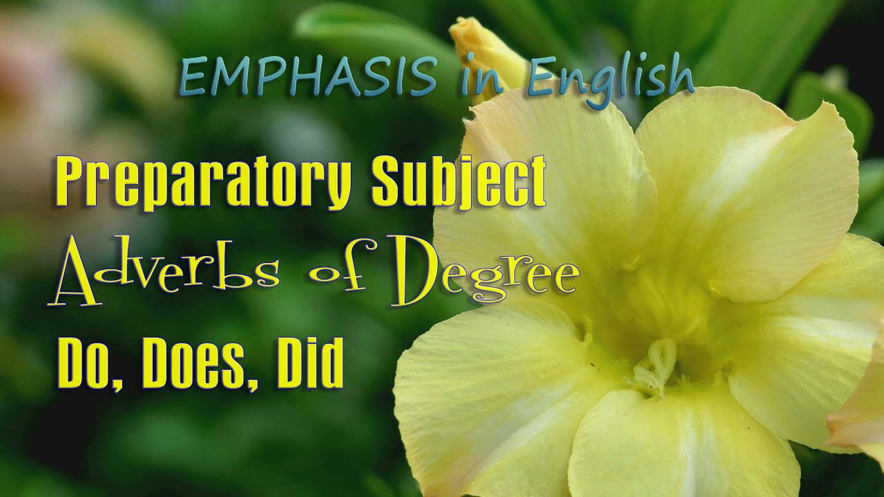 Preparatory Subject, Adverb Degree in Emphasis(Chủ từ giả, trạng từ mức ...