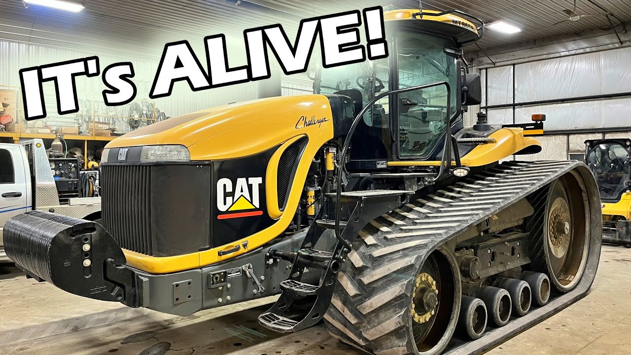 The Cat is Back and Better than Ever! - YouTube