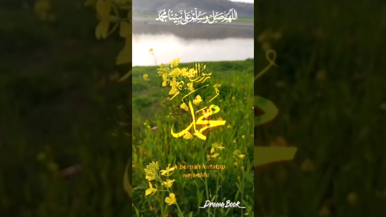 Ya Rasulallah Ya Habiballah🌼🌿| Raihan #islamicstatus #viral # ...