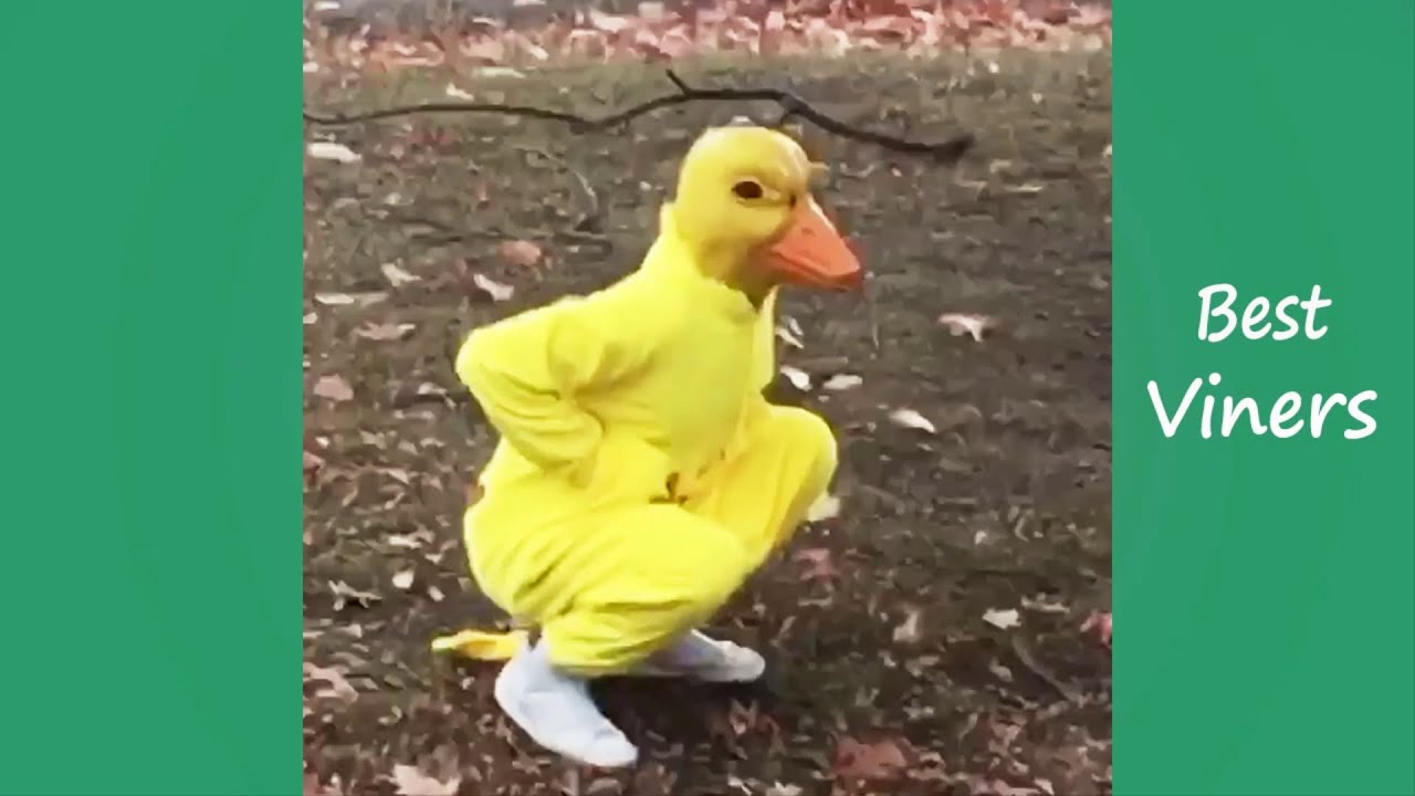 Try Not To Laugh or Grin While Watching Funny Clean Vines #23 - Best ...