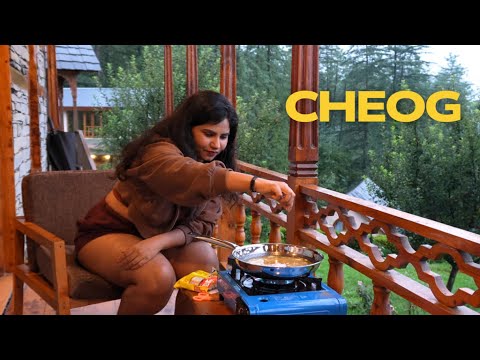 Himachal Apple Orchard Tour | Cheog: Offbeat stay near Shimla | Wood ...