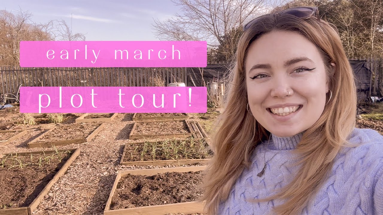 Something Weird Has Happened.. | Allotment Vlog 🥔Ep.47🥔 - YouTube