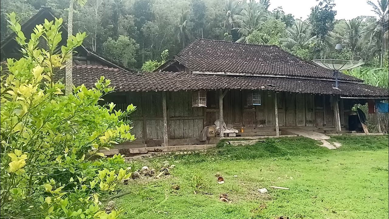 kampung Jawa yang masih terjaga keasriannya,banyak rumah kuno model ...