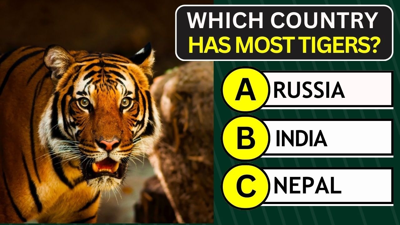 General Knowledge Quiz | Animal Edition | 30 Animal Quiz - YouTube