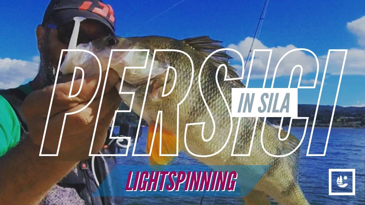 I PERSICI DELLA SILA light spinning in freshwater STRIKE A RIPETIZIONE ...