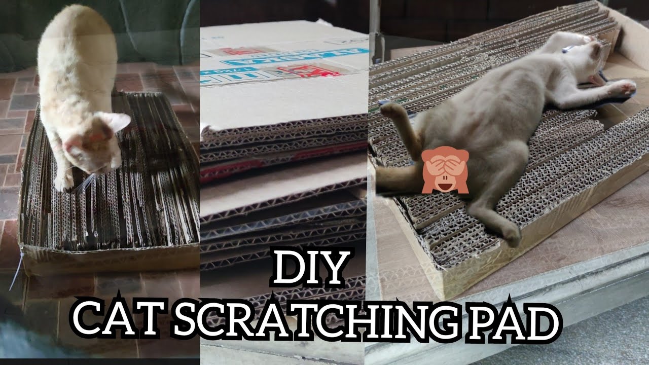 DIY: SIMPLE SCRATCH PAD FOR THE CATS | RECYCLE BOXES | MING'S TSANNEL ...