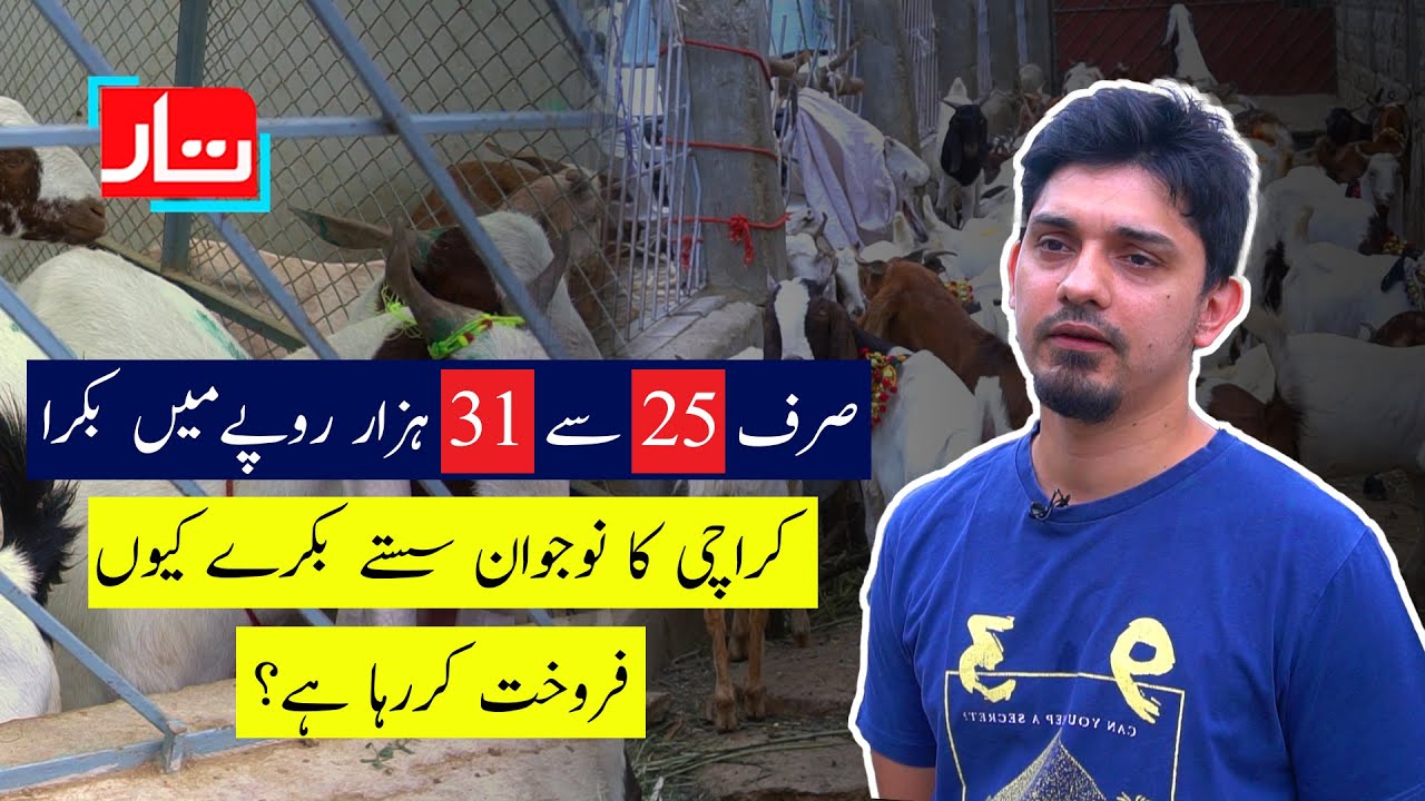 Aleem Paracha Making Eid Easier for White Colors of Karachi | Seeling ...