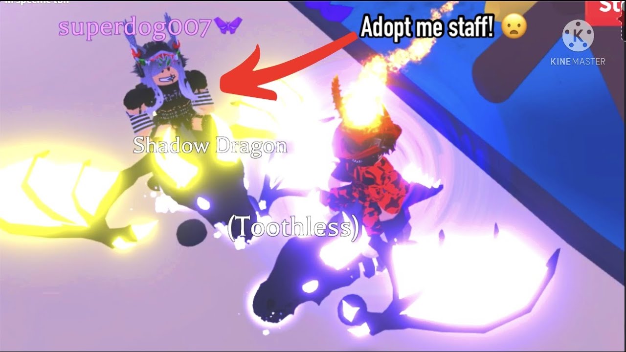 I met an ADOPT ME STAFF in Roblox! 😦 (Not click bait) - YouTube