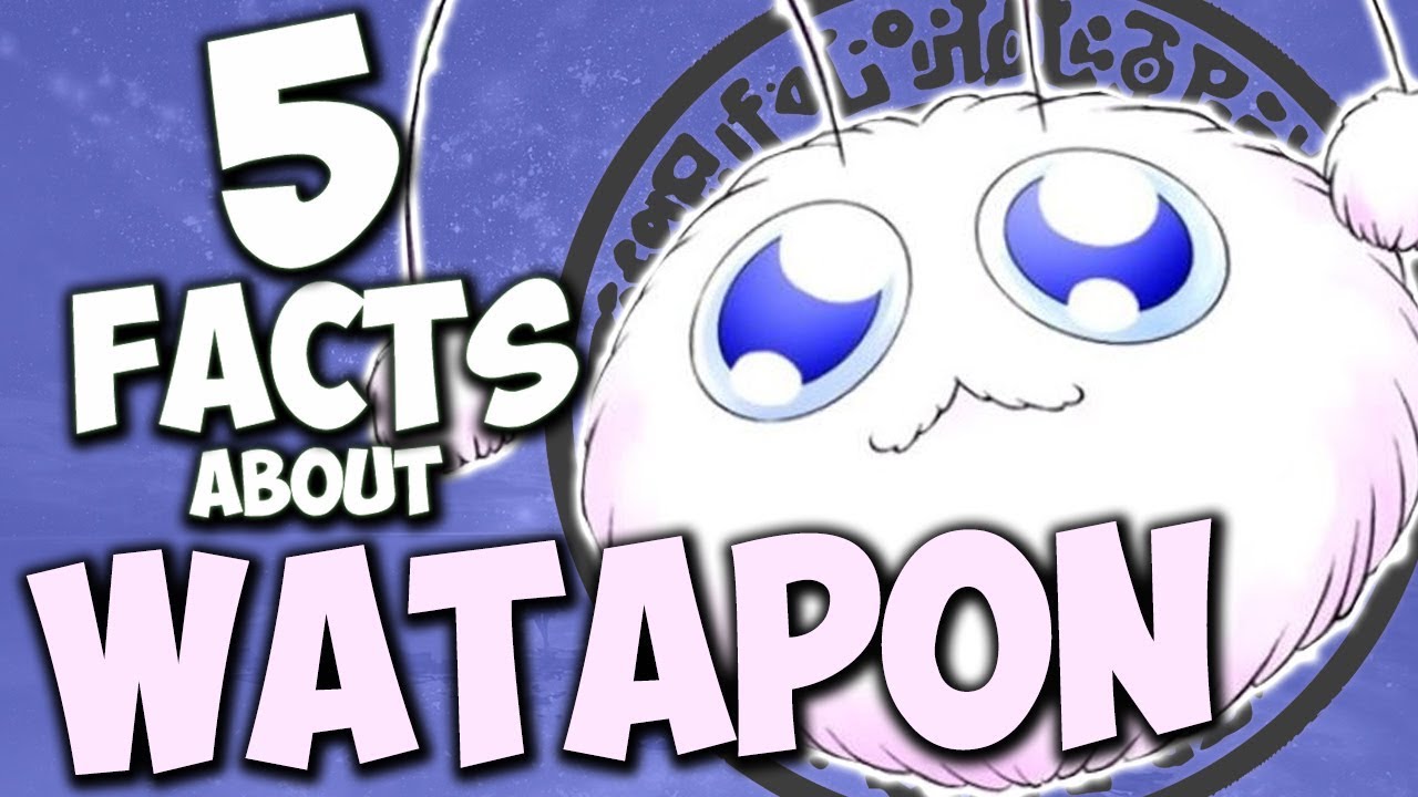 5 Facts About Watapon - YU-GI-OH! Facts & Trivia - YouTube