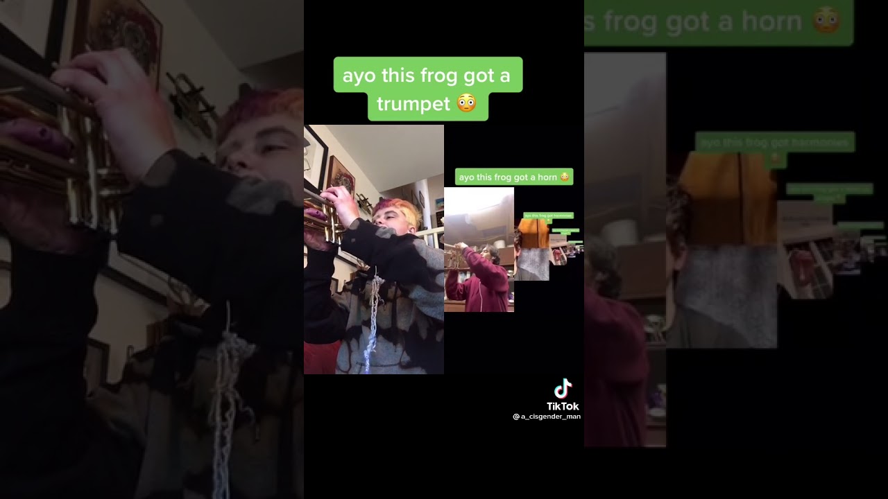 Frog jazz Tiktok - YouTube
