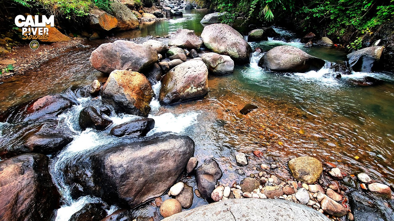 10 Hours Calming River Noise: Pleasant Stream Sound For Sleep and ...
