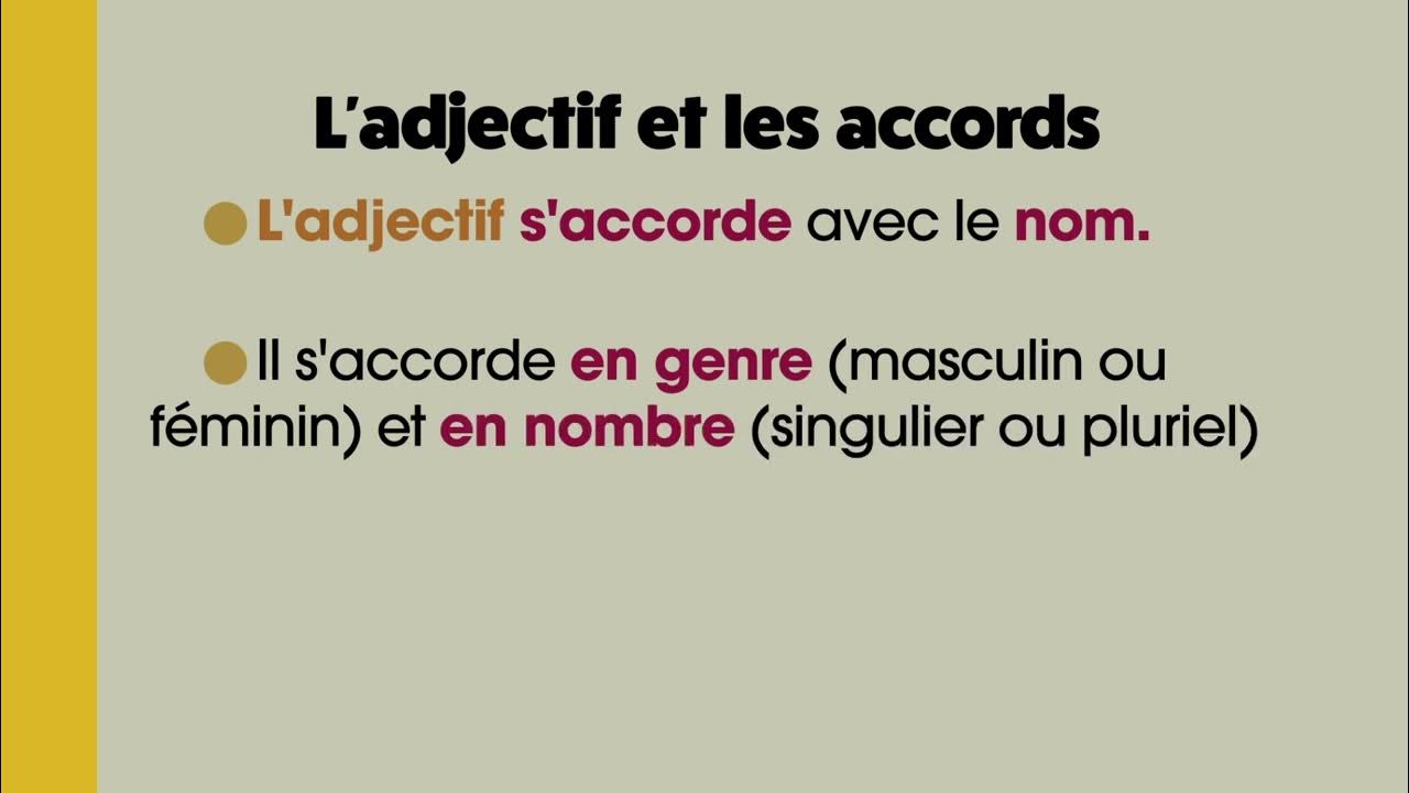 Animation Grammaire 10 L'adjectif et les accords - YouTube