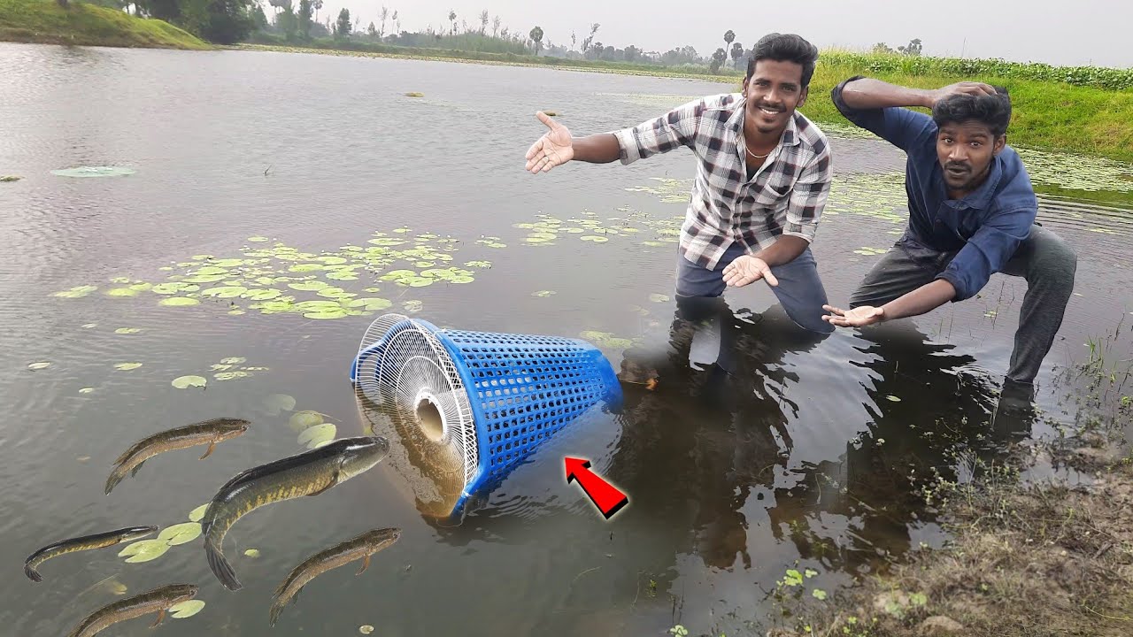 Unbelievable.! Fishing Trap 🎣 | Using with Fan Guard | இவ்ளோ நாள் இது ...