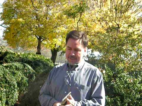 Jay Franks talks about preserving Homestead Manor - YouTube