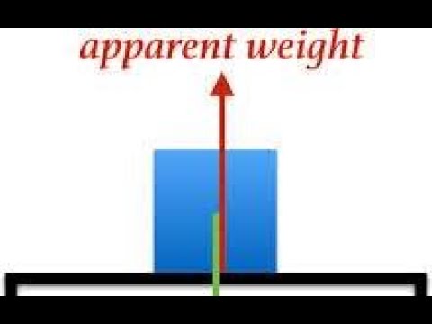 weight and apparent weight - YouTube