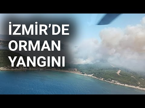@NTV  İzmir'in iki ilçesinde orman yangını
