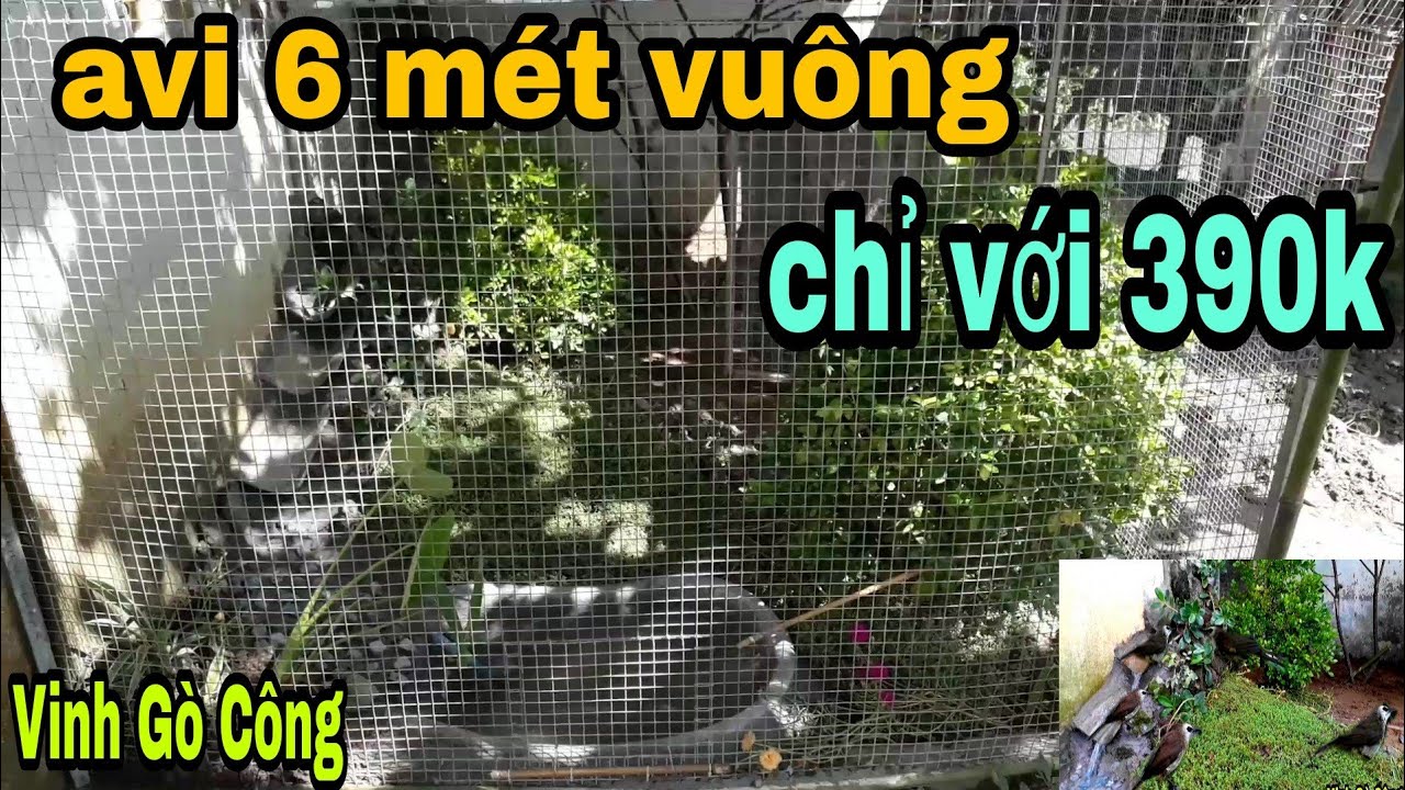 Chi phí làm avi 6 mét vuông siêu đẹp chỉ với 390k | VGC - YouTube