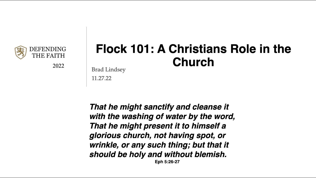 DTF 2022 - Flock 101 - YouTube