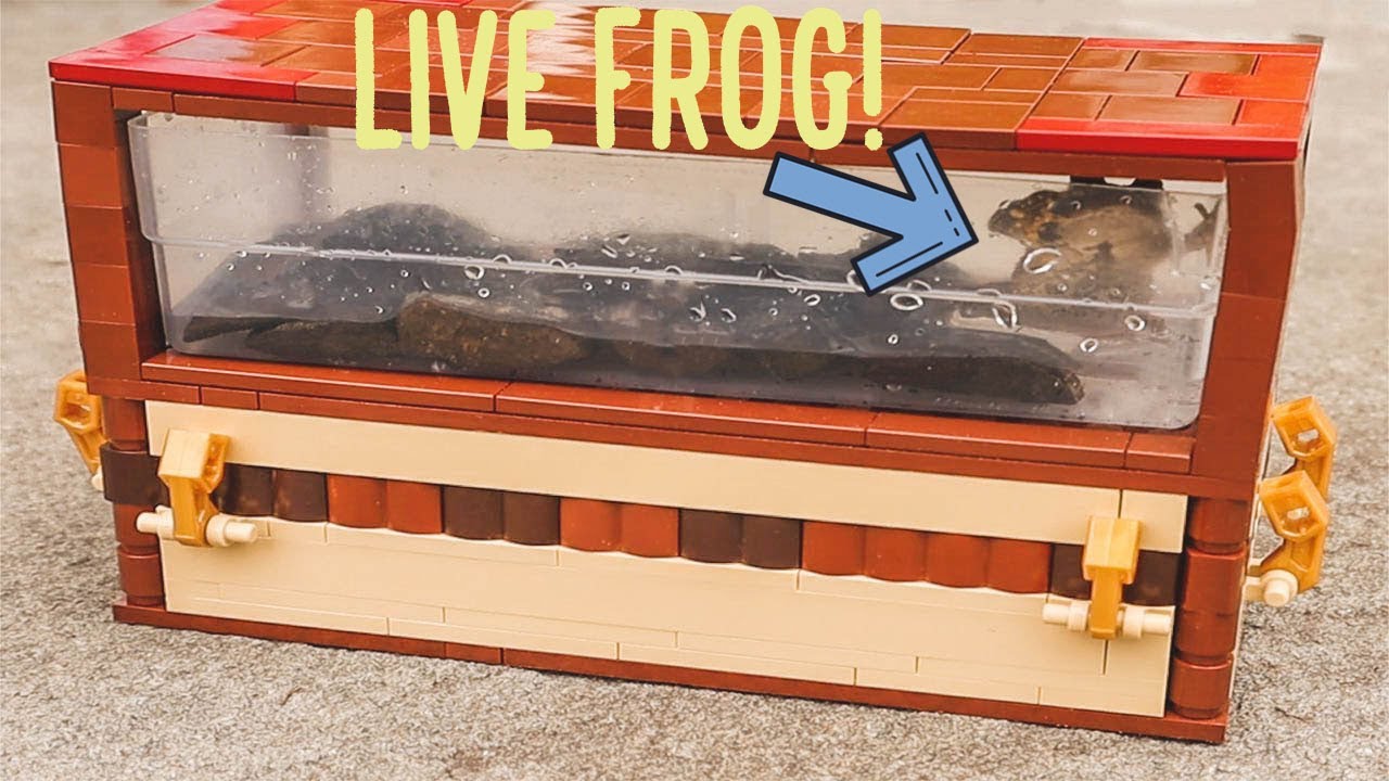 Worlds Smallest Lego Frog Aquarium With Live Frog (Lego Habitat) - YouTube