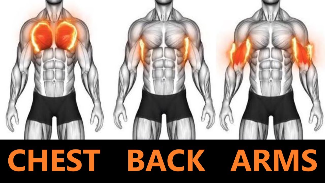 CHEST | BACK | ARMS | MUSCLE BUILDING WORKOUT | GYM MACHINE WORKOUT ...
